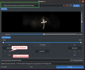 5 ways to watch YouTube frame by frame and take Screenshots (Best ...