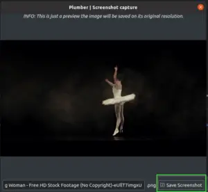 5 ways to watch YouTube frame by frame and take Screenshots (Best ...